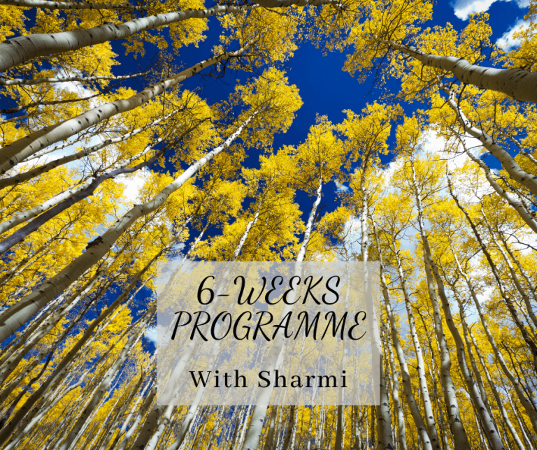6-weeks programme - Stepping Stones Psychology